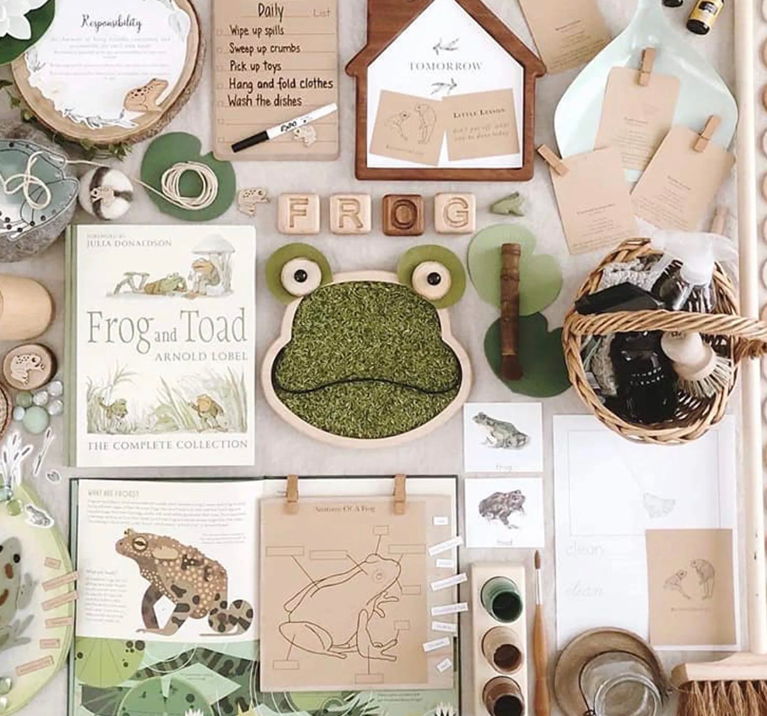 Adventures of Frog & Toad – A Year of Learning