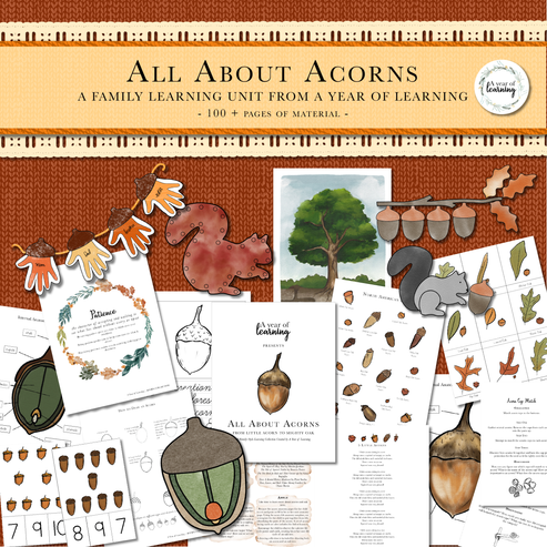 All About Acorns and The Busy Tree Collection – A Year of Learning