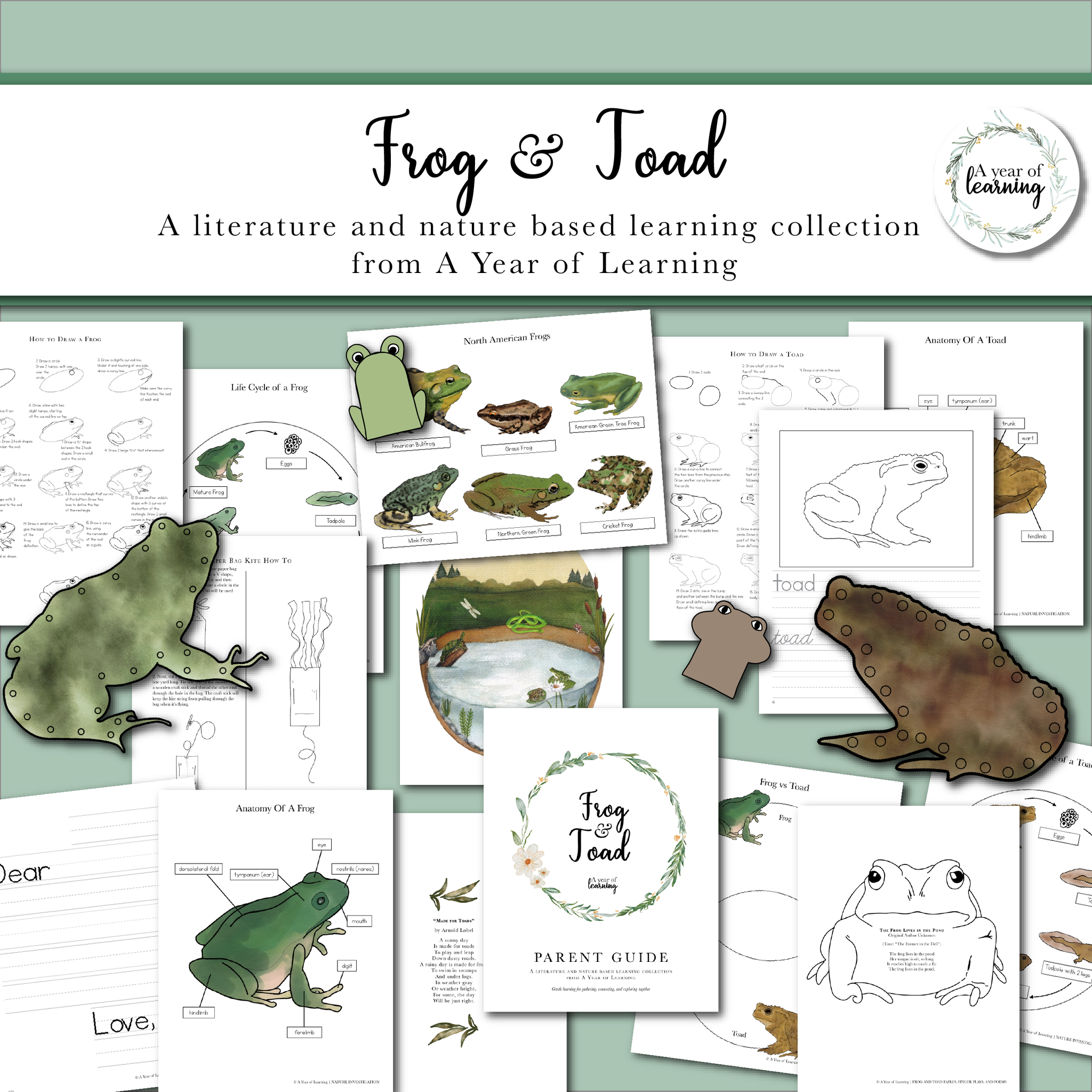 Adventures with Frog and Toad – A Year of Learning