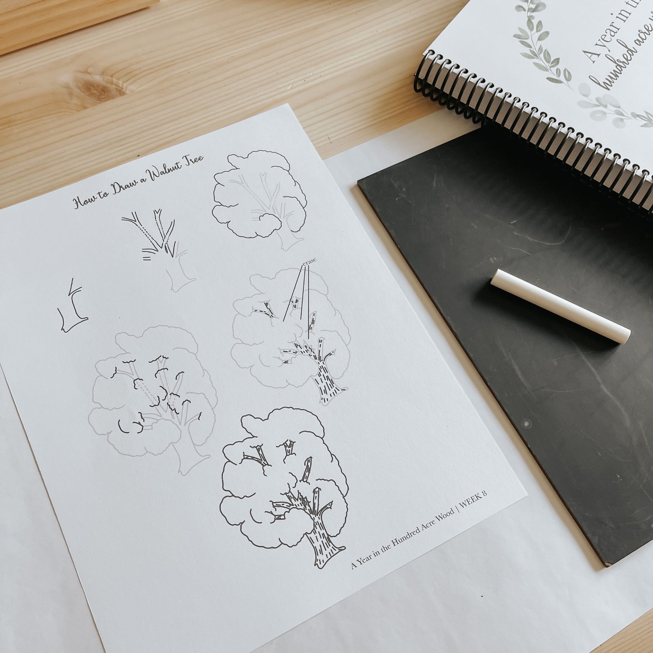 A Year in the Hundred Acre Wood Elementary – A Year of Learning