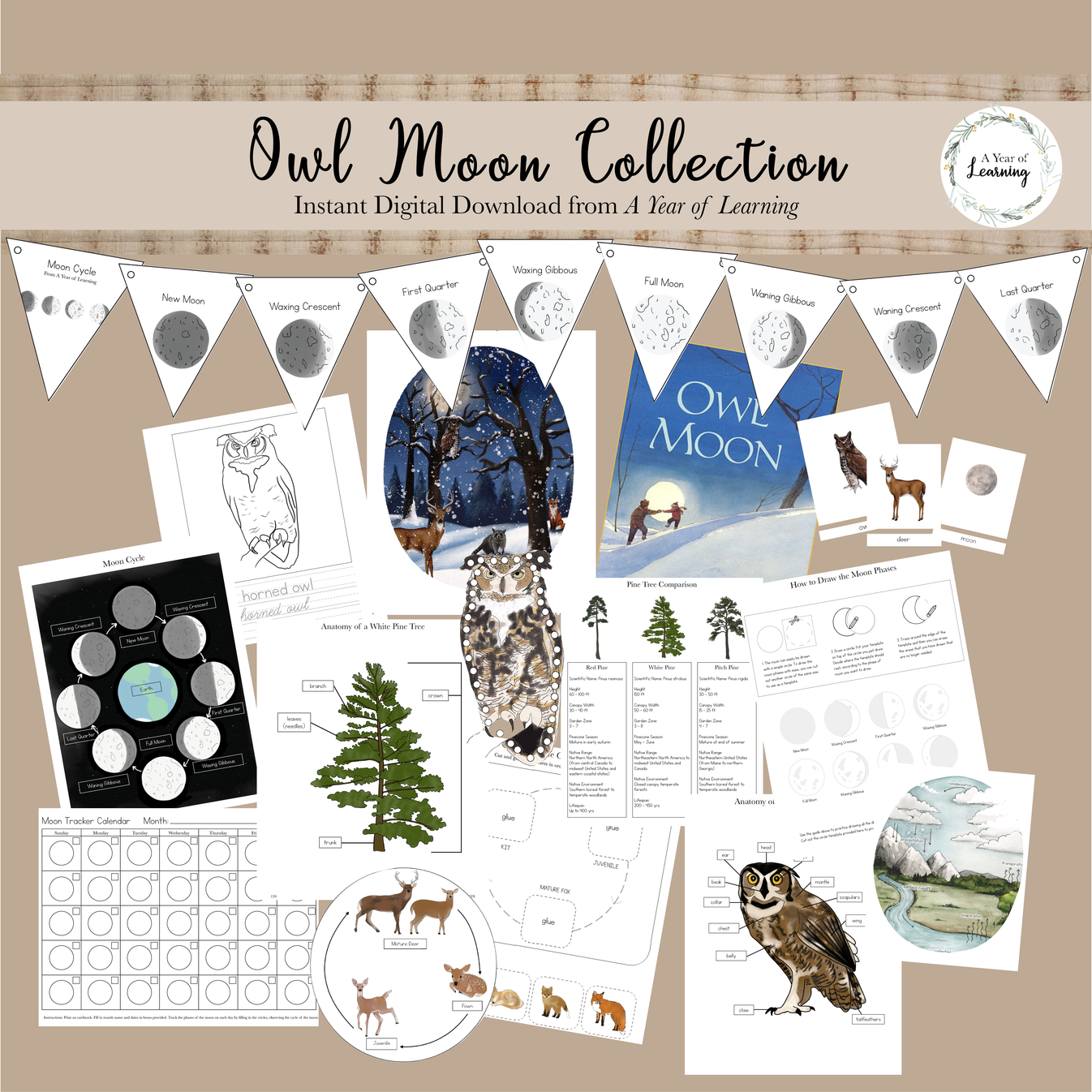 Owl Moon Collection – A Year of Learning