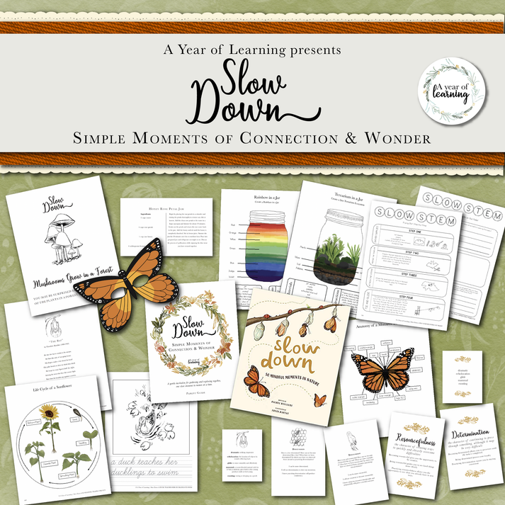 Slow Down Family Collection – A Year of Learning