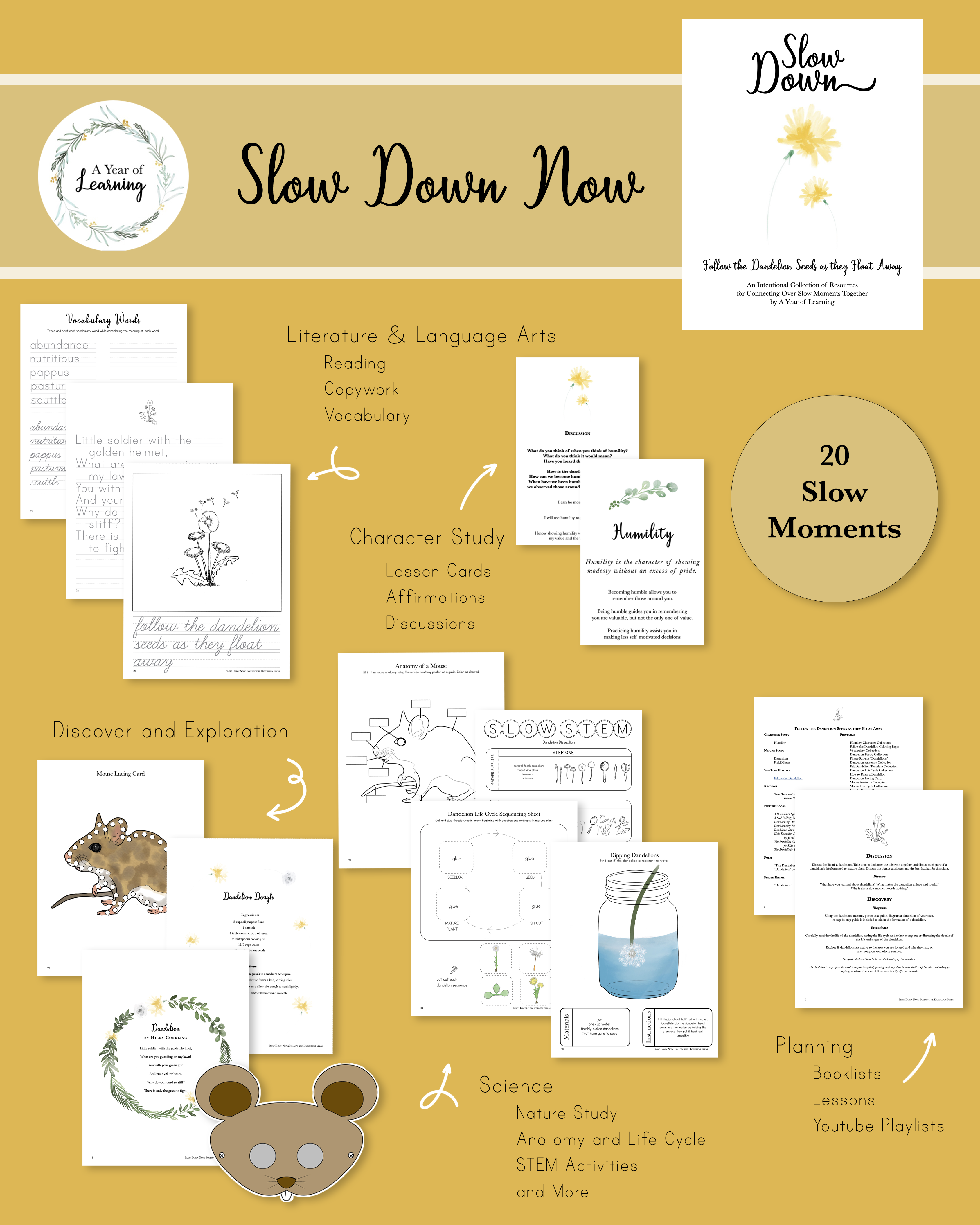 Slow Down Now – A Year of Learning