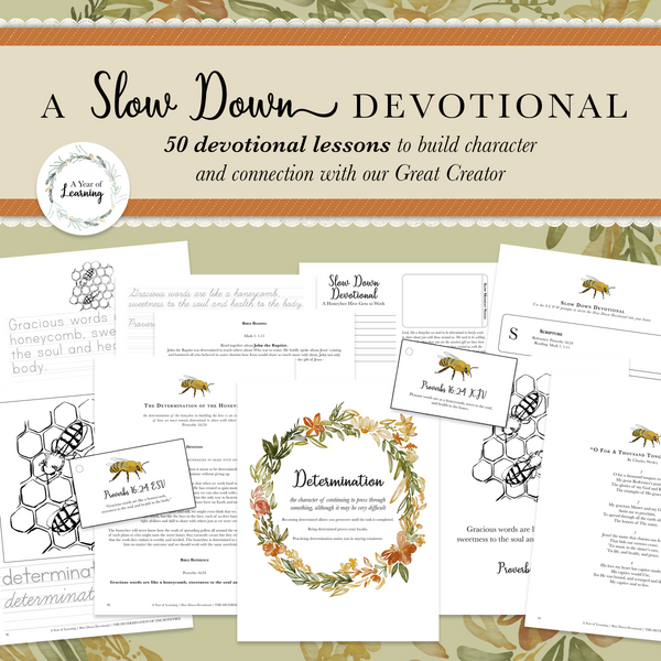 A Slow Down Devotional – A Year of Learning