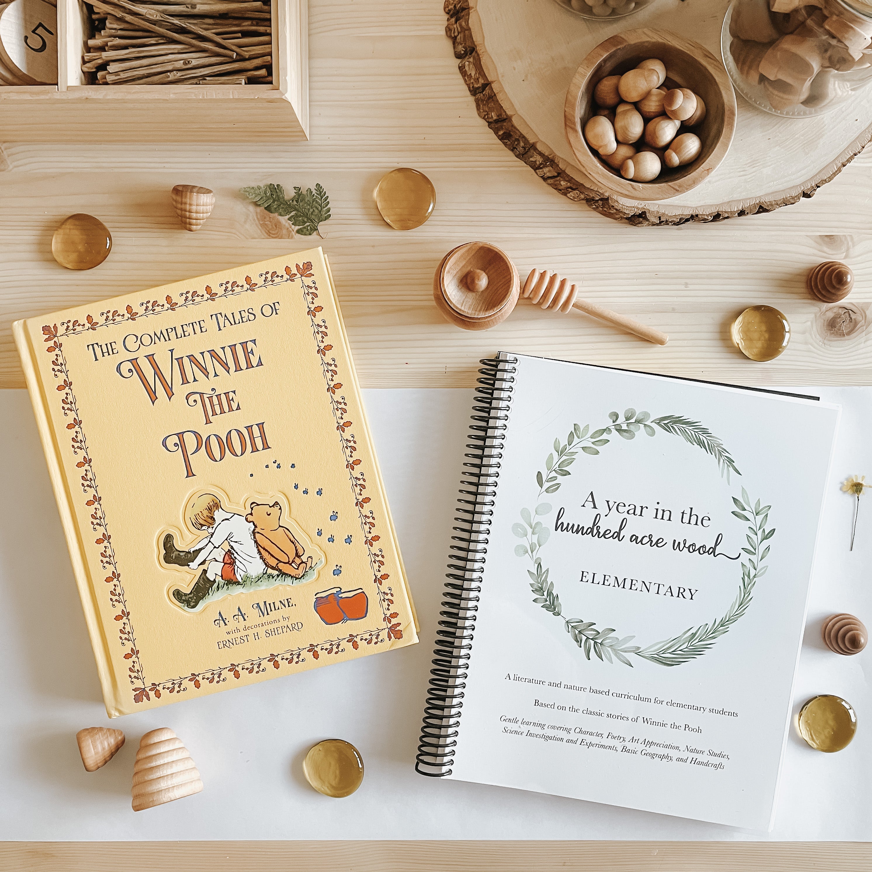 A Year in the Hundred Acre Wood Elementary – A Year of Learning